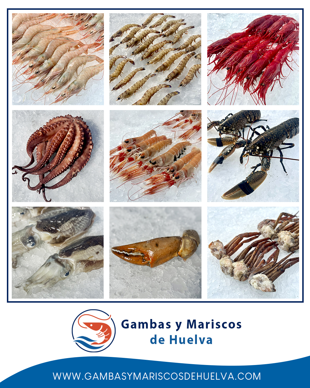 Gambas y Mariscos de Huelva | Tu Pescadería Online